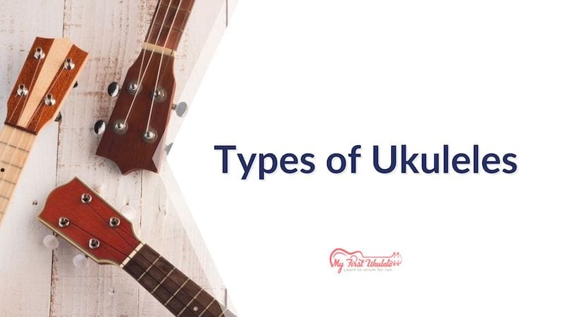 The Different Types of Ukuleles: From Weird To Wonderful The Different Types of Ukuleles: From Weird To Wonderful