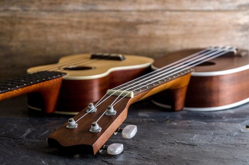 The Different Types of Ukuleles: From Weird To Wonderful
