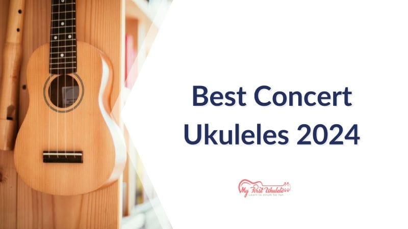Best Concert Ukuleles: Our Top Picks 2025