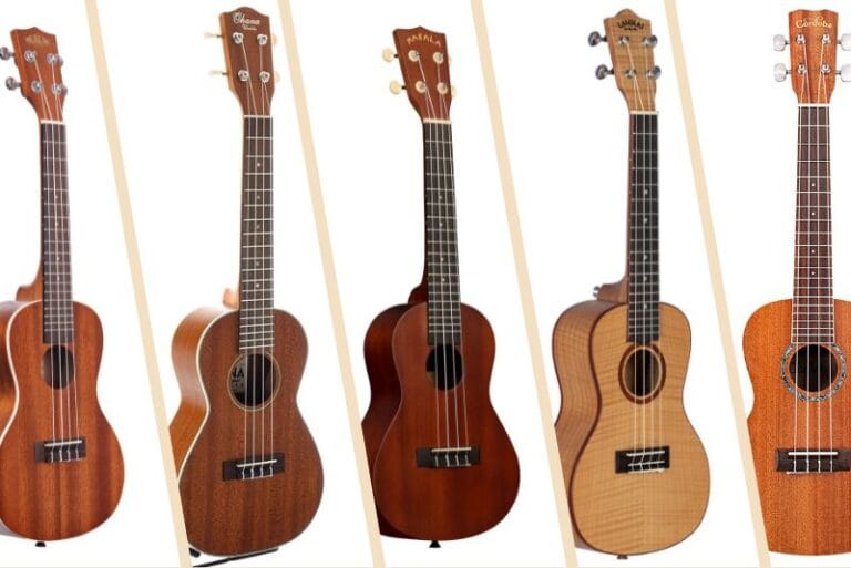 Best Concert Ukuleles: Our Top Picks 2025