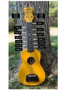 Understanding Ukulele Fretboards: A Beginner’s Guide