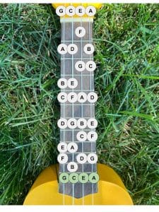 Understanding Ukulele Fretboards: A Beginner’s Guide