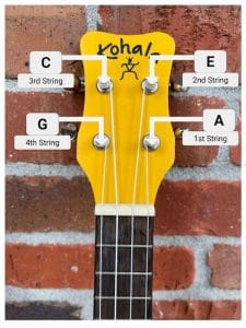 Basic Ukulele Music Theory to Get You Started